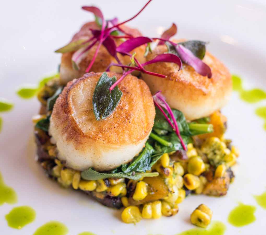 Blu Pointe – Fresh Fish | Prime Beef